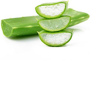 Aloe (Barbadensis) Herbasol® Extract IPM – Lipoid Kosmetik