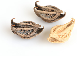 Devil’s claw root Herbasol® Tincture – Lipoid Kosmetik