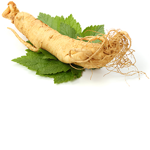 Ginseng root Herbasol® Plant Water – Lipoid Kosmetik