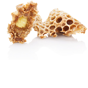 Royal Jelly Extract COS (SB) – Lipoid Kosmetik