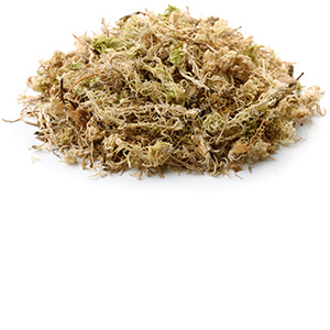 Sphagnum moss Herbasol® Extract Glycerine unpreserved – Lipoid Kosmetik