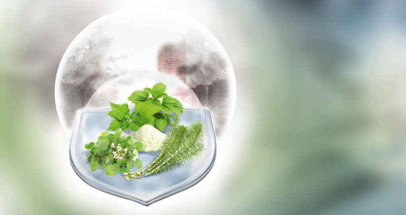 HerbaShield® URB – The Natural Solution to Pollution – Lipoid Kosmetik