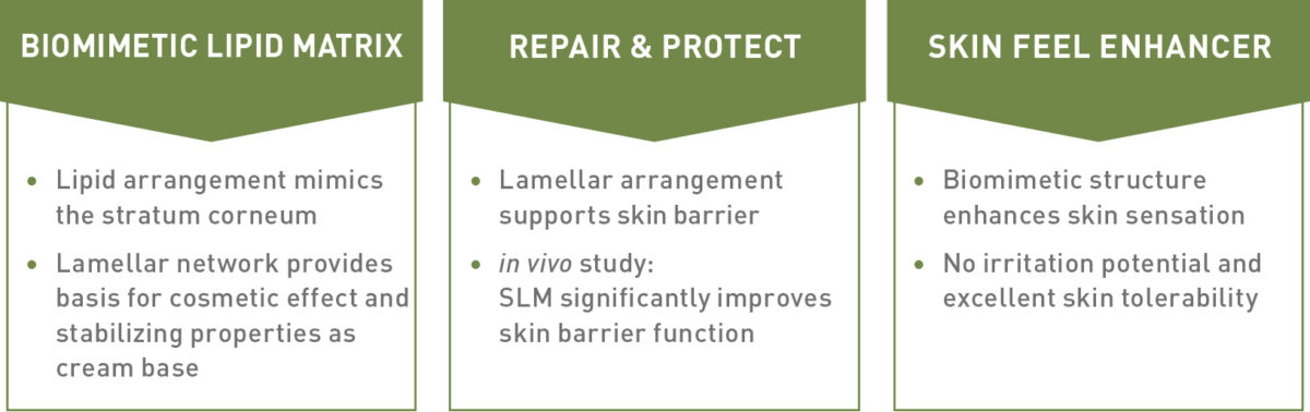 SLM Skin Lipid Matrix®: The Biomimetic Master Key for Skin Repair and ...